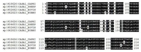 Multiple Sequence Alignment Of Alpha S1 Casein Here Black Shade