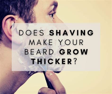 Does Shaving Make Your Beard Grow Thicker 8 Surprising Facts Turbobeard