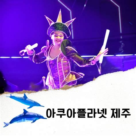 제주 동쪽 가볼만한곳 아쿠아플라넷 공연 아이랑 실내 데이트 네이버 블로그