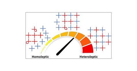 Connectivity Defects In Metallo Supramolecular Polymer Networks At Different Self Sorting