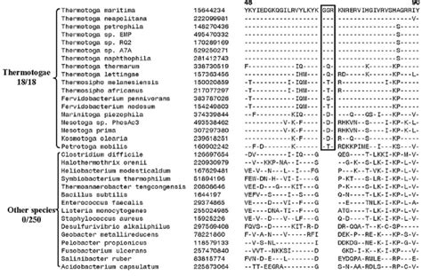 Partial Sequence Alignment Of The Ribosomal Protein S8 Showing A 3 Aa