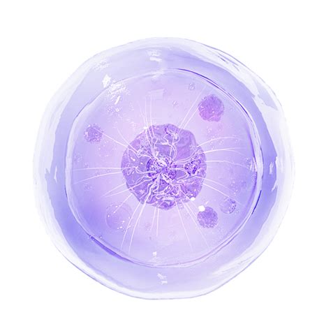 胶原蛋白分子