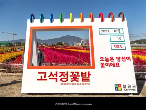 철원 고석정 꽃밭 철원 가볼만한 가을 여행지 네이버 블로그