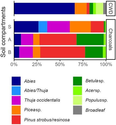 The Post Fire Shift Of Temperate White Pine Birch Forest To Boreal Balsam Fir Forest In Eastern