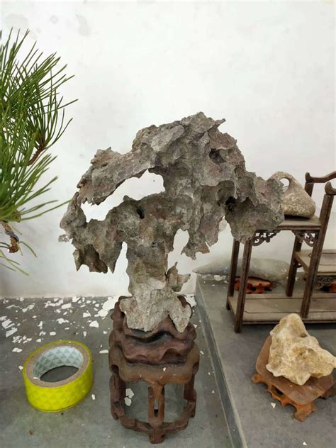 太湖石植物搭配图片 太湖石上种什么植物 松树与石头搭配原则 第5页 大山谷图库