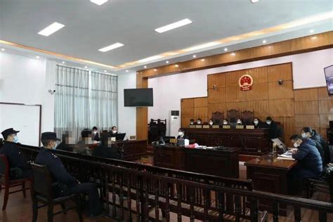 这种植物不能挖！3人被判刑被告人彭某某国家