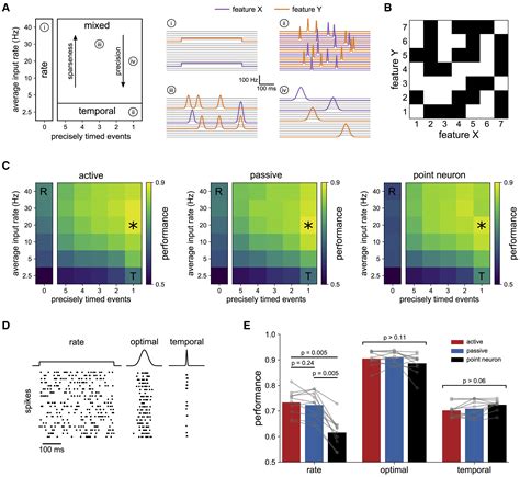 a synaptic learning rule for exploiting nonlinear dendritic computation