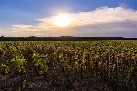 Previsão Do Tempo Como Será O Clima No Brasil Em Fevereiro Af News