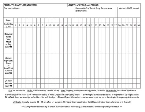 Bbt Chart Template