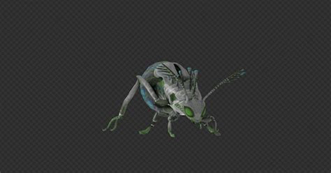 Bug Fly And Fly Idle 4 In 1 Stock Video Envato Elements