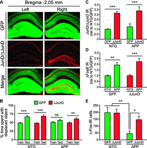 Direct Inhibition Of Dfosb Signaling Improves C Fos Expression And