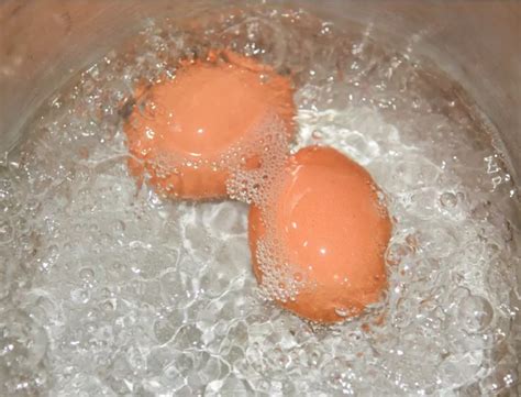 How To Boil Eggs In Electric Kettle Perfectly Bestcheck