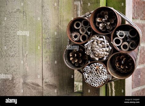 A Diy Bug Hotel Made From Upcycled Food Cans Which Have Rusted In The