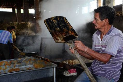 Polémica Por Proceso De La Producción De Panela En El Exterior • Al Punto