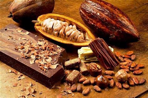 شکلات چیست طرز تهیه شکلات و تفاوت های آن با کاکائو موسسه مبتکران شیمی