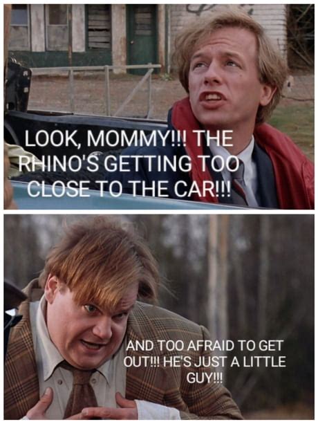 Tommy Boy Memes