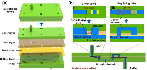 Schematic Structure Of The Microfluidic Flow Regulatory Device A Download Scientific Diagram