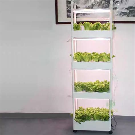 Mtsyxym Herb Garden Kit Review Hydroponic Gardening