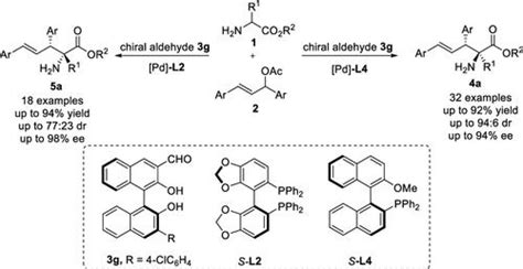 Asymmetric α Allylation of N Unprotected Amino Acid Esters with 1 3