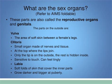 Grade Human Growth And Development Ppt Download