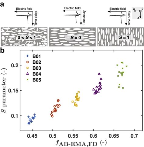 A Schematic For The Interpretation Of The S Parameter B S Download Scientific Diagram