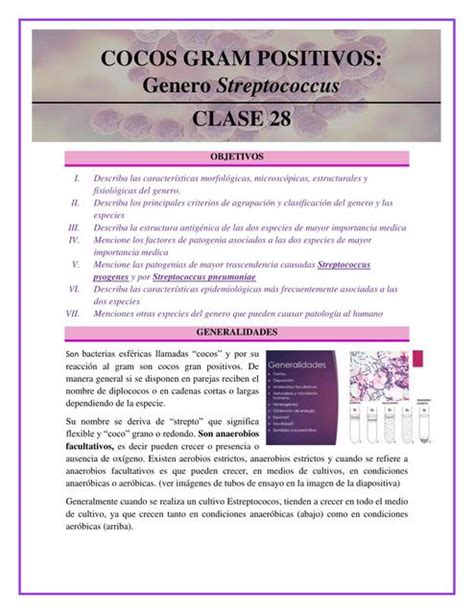 Cocos Gram Positivos Streptococcus Medstdnlife Udocz