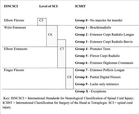 Comparison Of Isncsci And International Classification For Surgery Of