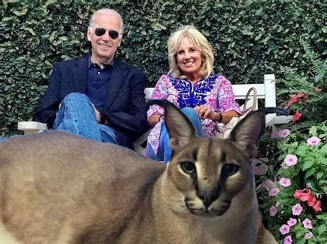 The First Flopper Of The Us Scrolller