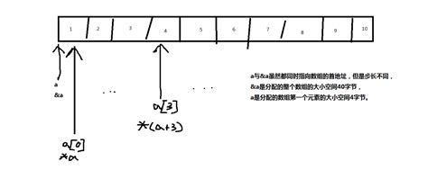 一维数组内存解析 Csdn博客