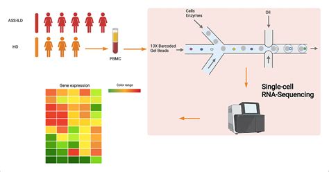 Figure 1 From Single Cell Transcriptomics Reveals Peripheral Immune Responses In Anti Synthetase