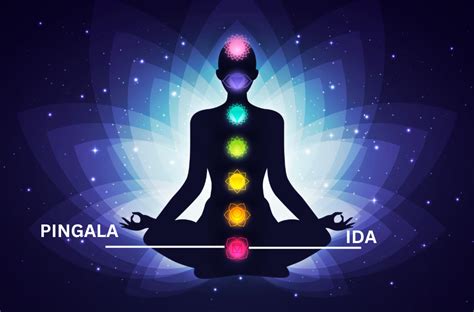Pingla And Ida Nadis Explanation Characteristics How To Balance