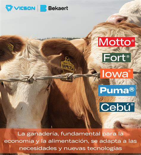 Vicson Bekaert Vicson Bekaert Added A New Photo