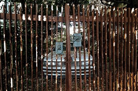 【散歩】街の狭間にある森