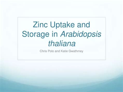 Ppt Zinc Uptake And Storage In Arabidopsis Thaliana Powerpoint