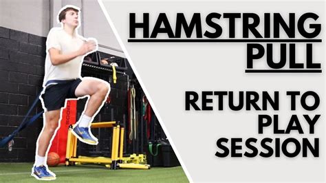 Pulling Hamstring Recovery At Micheal Weston Blog
