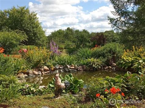 Отзыв о Шланг растягивающийся Giardino club | Это змея из ...