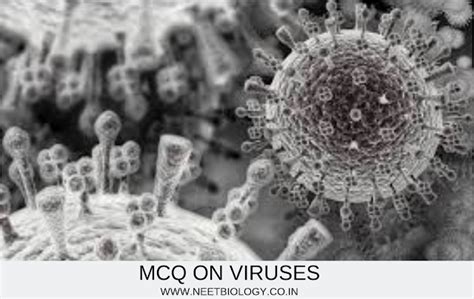 Multiple Choice Questions On Viruses