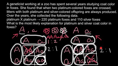 Non Mendelian Inheritance Explained YouTube