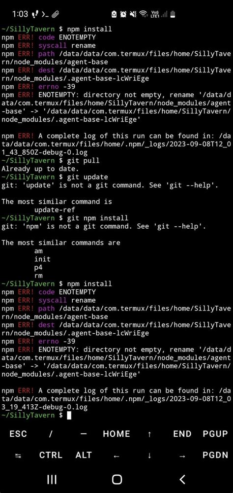 Why Isnt Npm Install Working Rsillytavernai