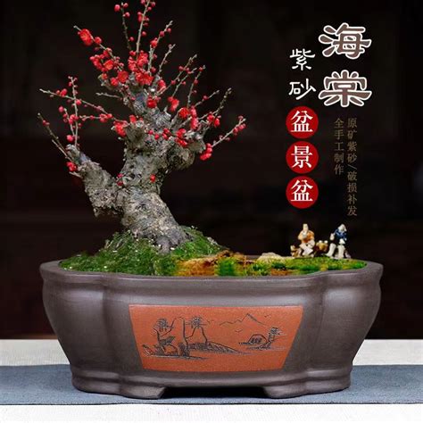 紫砂花盆海棠盆景盆花卉盆栽陶瓷花盆长方形大盆老桩丛林盆多肉盆 虎窝淘