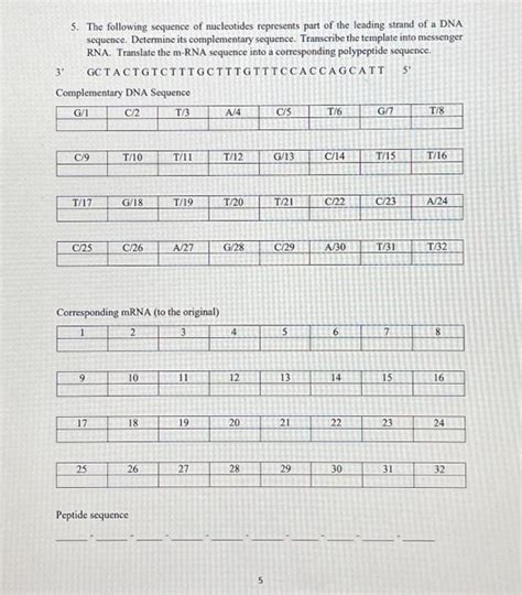 Solved The Following Sequence Of Nucleotides Represents Chegg