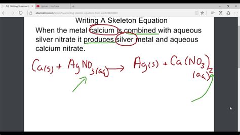 What Is A Skeletal Equation