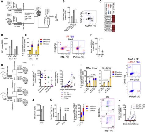 Enhancing CD T Cell Fatty Acid Catabolism Within A Metabolically Challenging Tumor