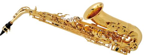 Top 15 Musical Instruments You Can Easily Learn And Play
