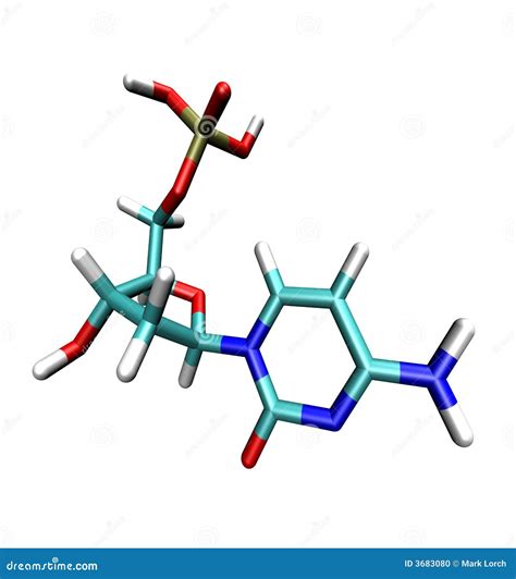 Cytosine Stock Illustration Illustration Of Black Nucleotide 3683080