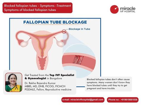 Blocked Fallopian Tubes Symptoms Treatment Symptoms Of Blocked