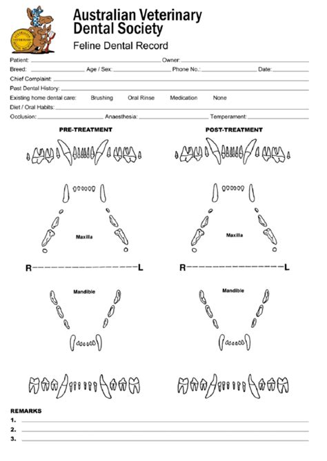 Printable Feline Dental Chart
