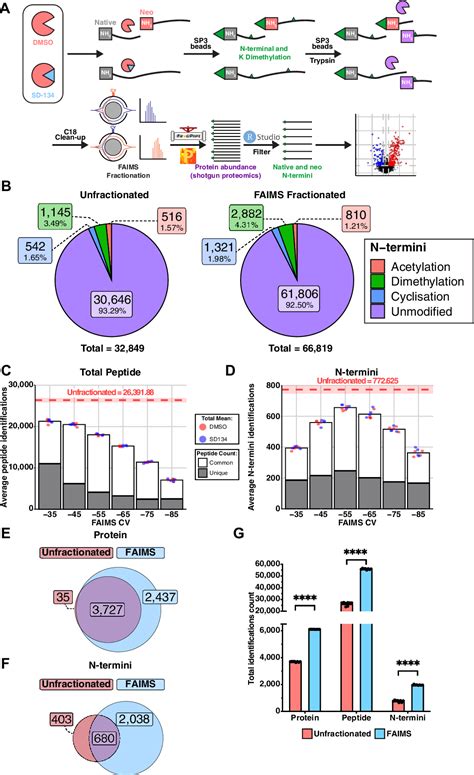 Figure 2 From Ion Mobilitybased Enrichment Free N Terminomics Analysis