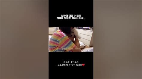 엄마가 아파서 미안해 지켜주지 못해 미안한 엄마의 마음ㅜㅜ Youtube