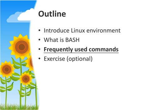 linux programming tutoring ppt download